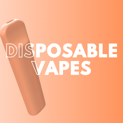Disposable Vapes - Bliss Vapes